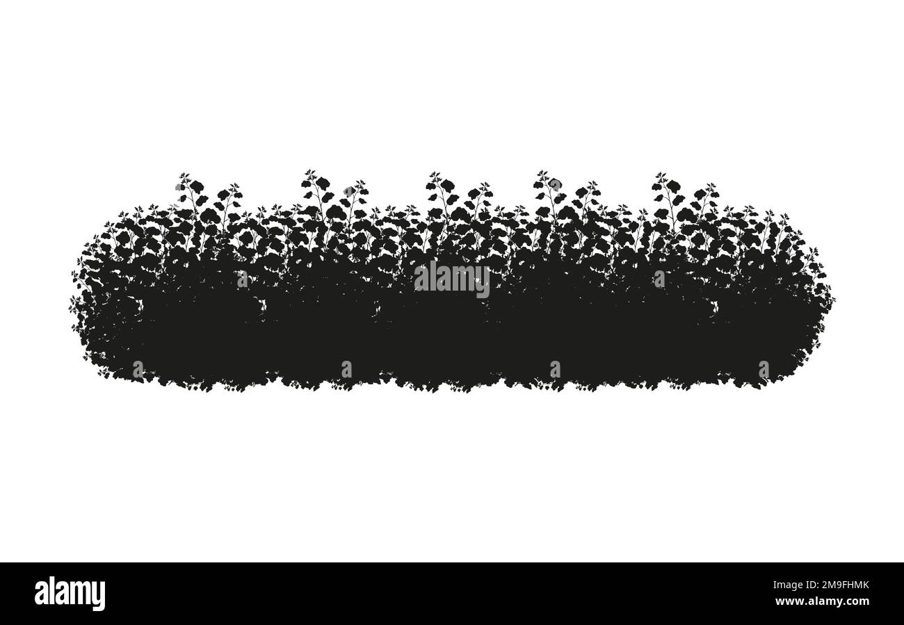 Realistic garden shrub, seasonal bush, boxwood, tree crown bush foliage ...