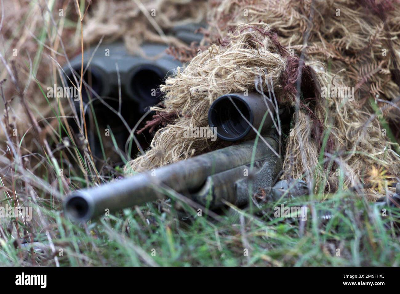 US Marine Corps (USMC) Sergeant (SGT) Michael Sistunk and Lance ...