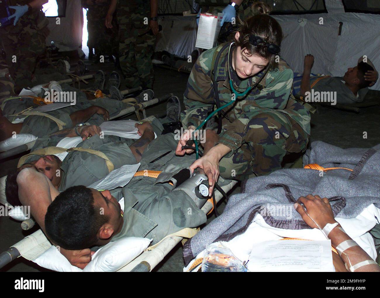US Air Force Captain Joanne Peros, 146th Aeromedical Evacuation ...