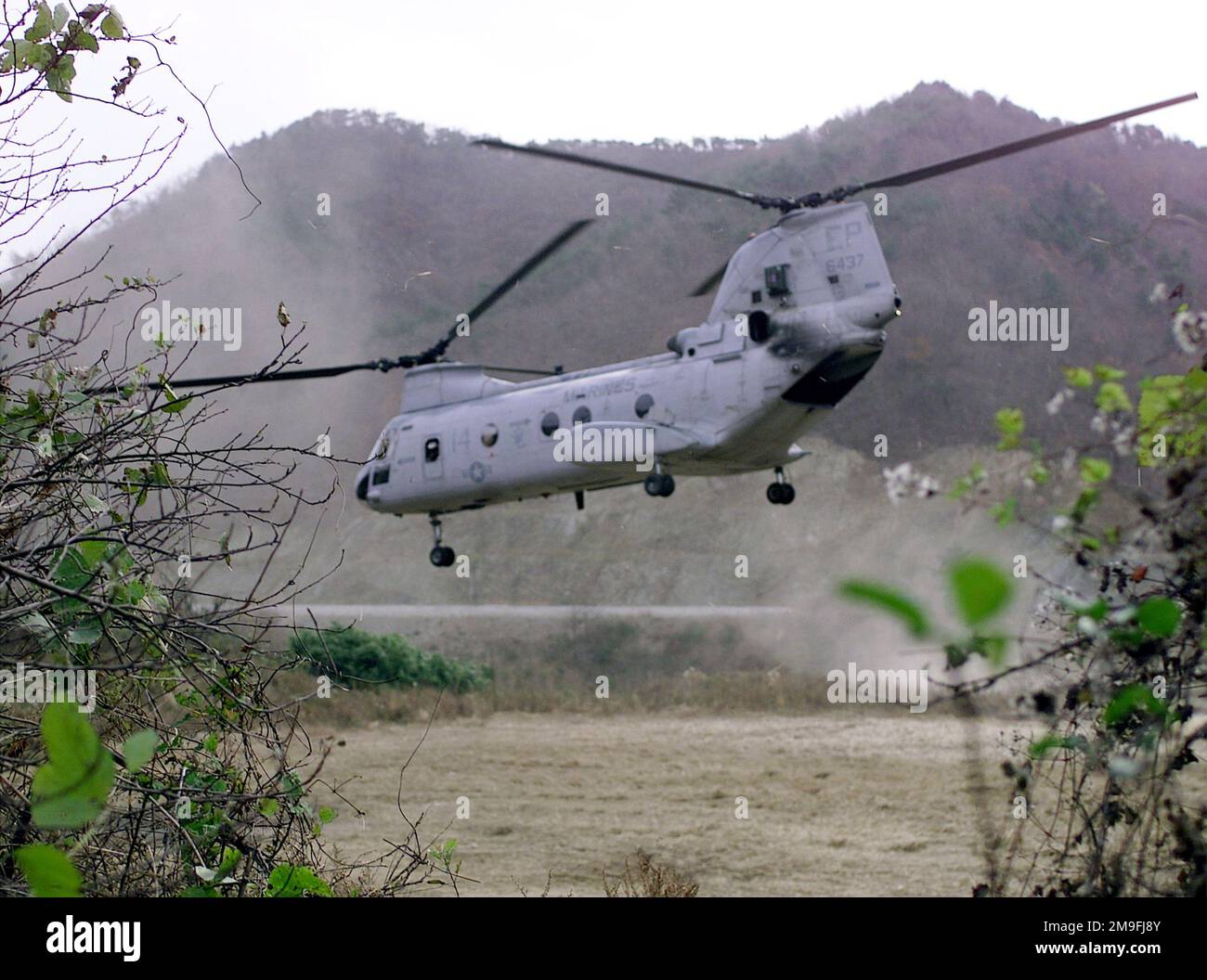 Kitp hi-res stock photography and images - Alamy