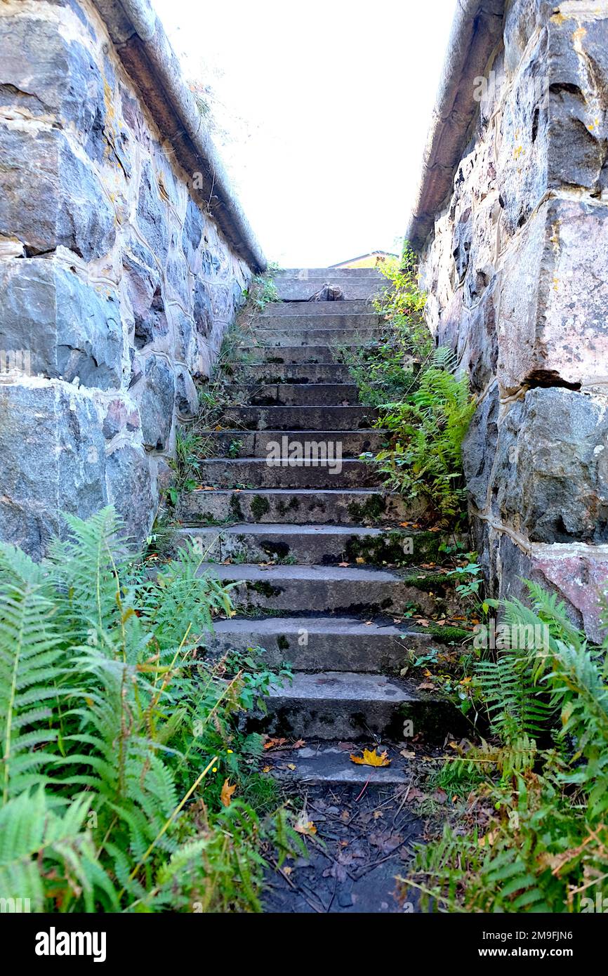 Narrow stone old staircase between stone walls with fern at the foot ...