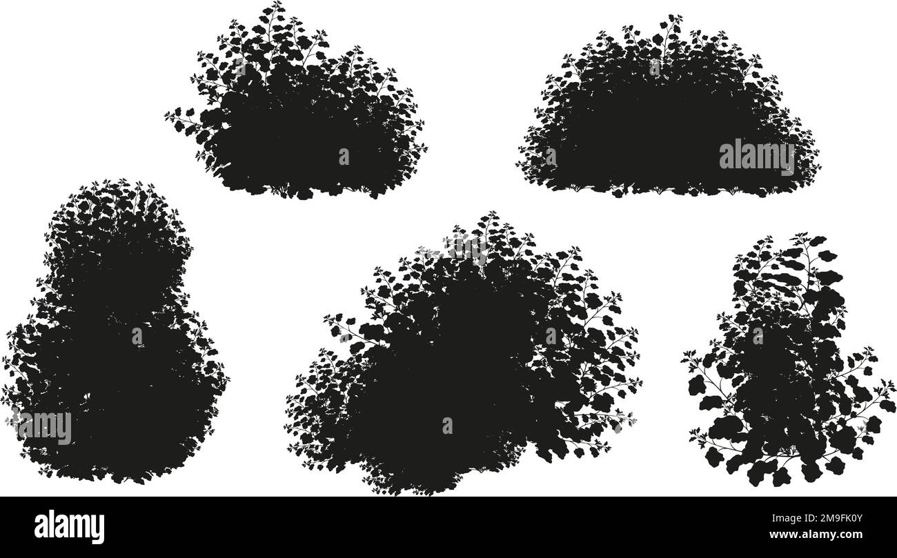 Realistic garden shrub, seasonal bush, boxwood, tree crown bush foliage ...