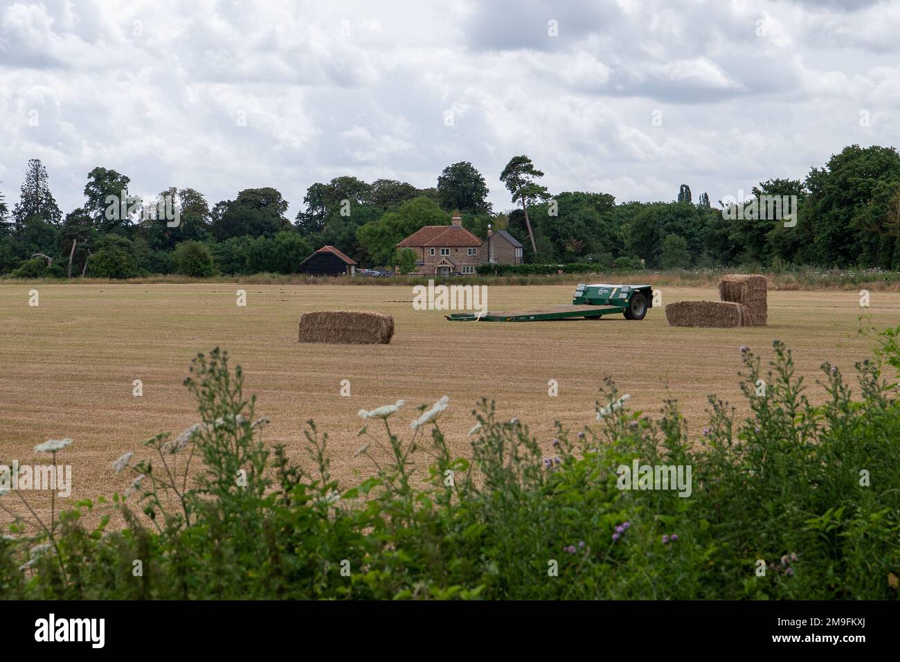 Taplow, Buckinghamshire, UK. 25th June, 2022. Straw bales in a field ...