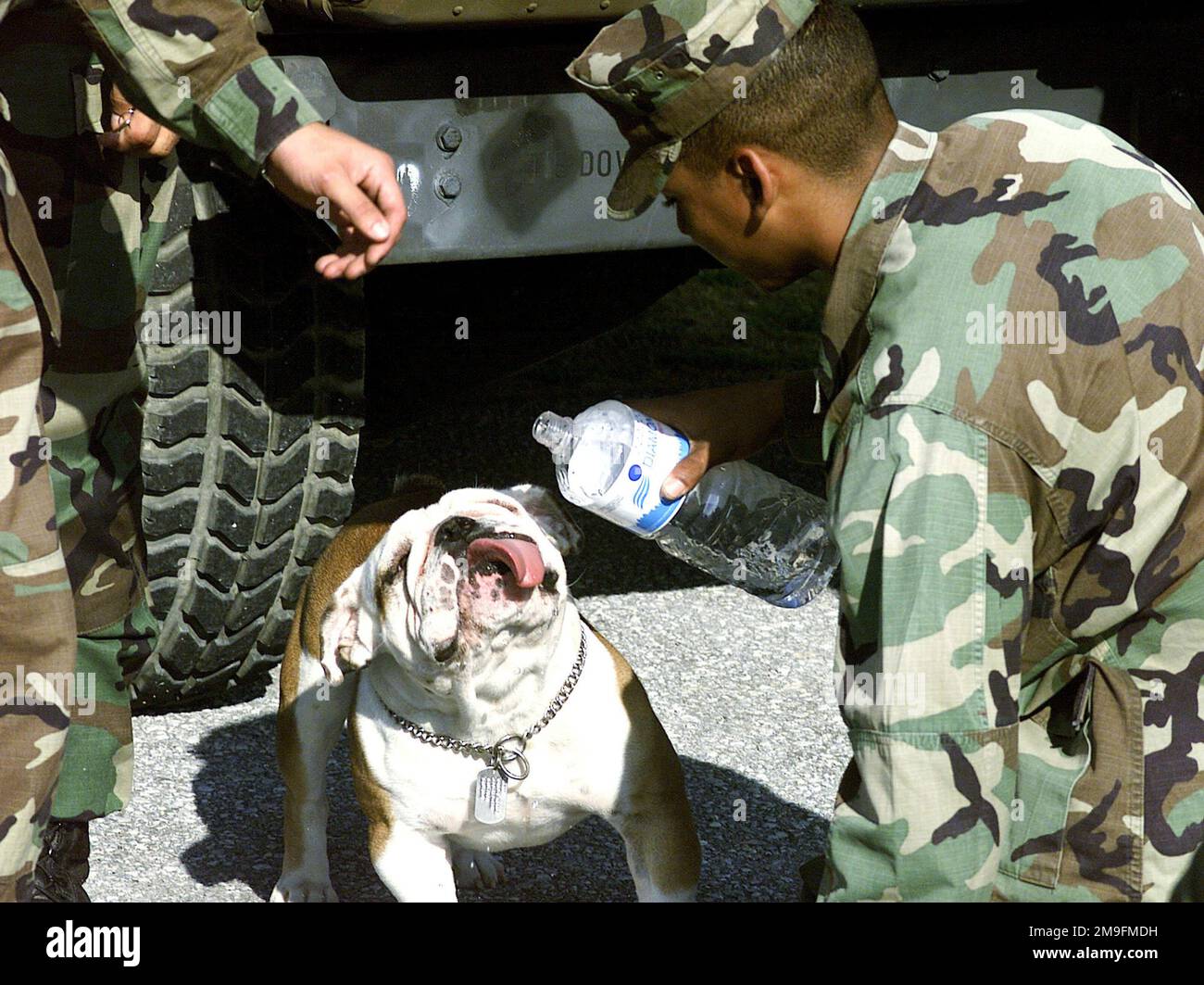 A Marine is slowly pouring water into the mouth of mascot "Rockey ...