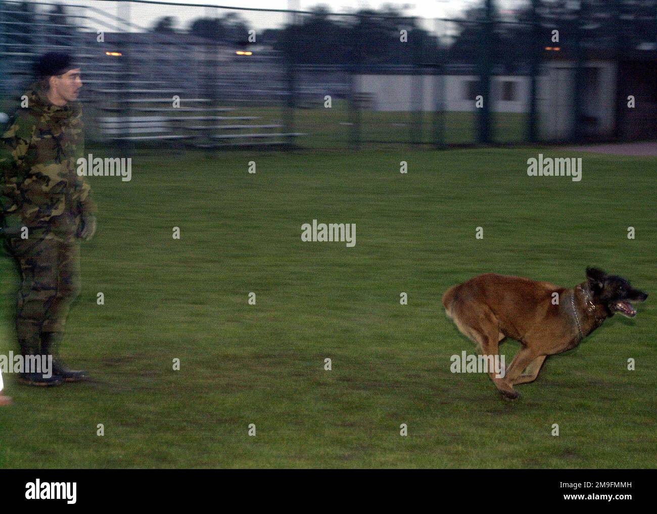 US Air Force STAFF Sergeant Derek Donahey, a Military Working Dog (MWD ...