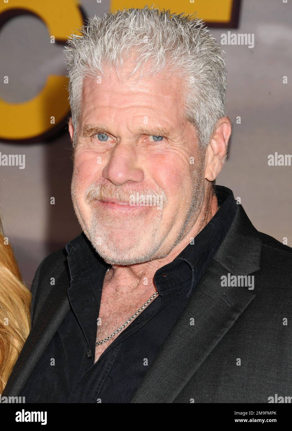 LOS ANGELES, CALIFORNIA - JANUARY 17: Ron Perlman attends the Los ...