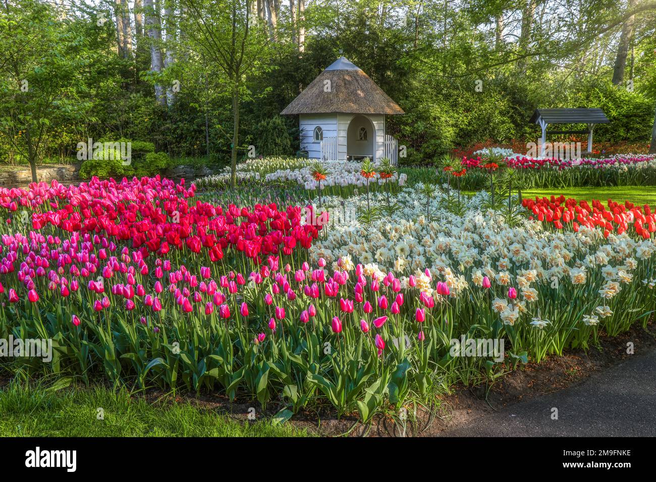 Beautiful scenery in Keukenhof royal flower garden in the Netherlands ...
