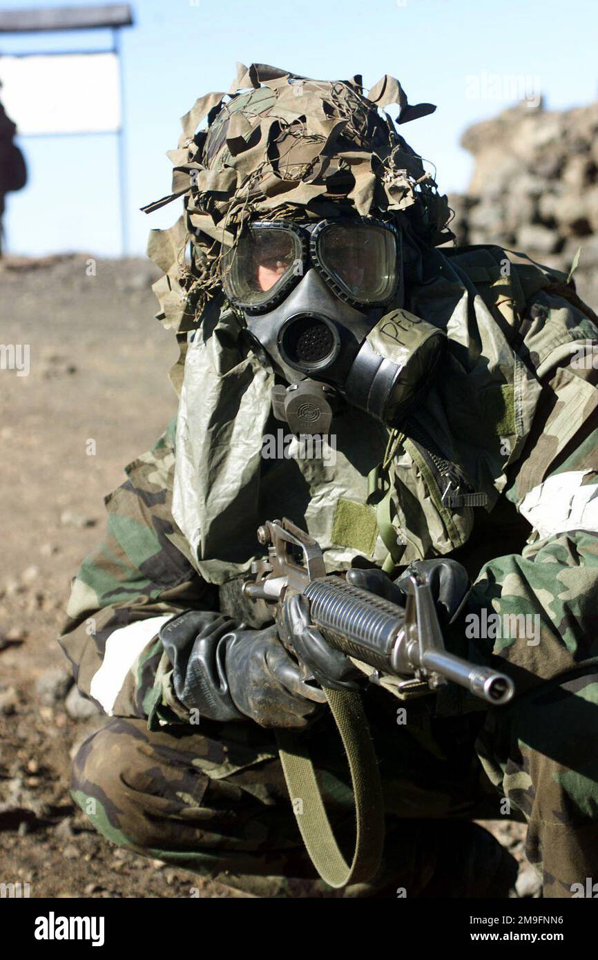 In a gas mask and armed with an M16 rifle, US Marine Corps Private ...