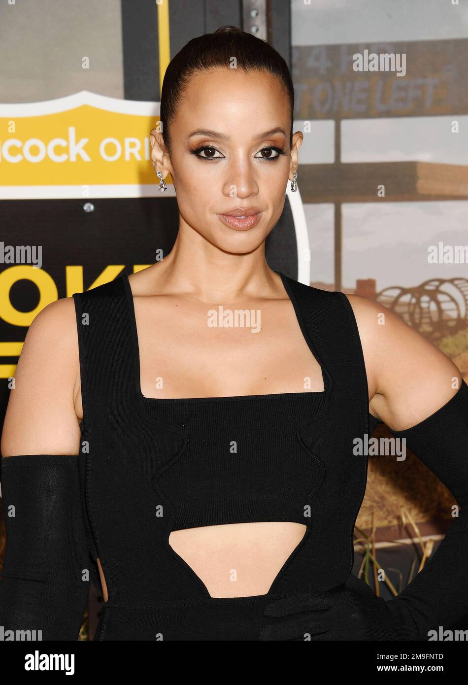 LOS ANGELES, CALIFORNIA - JANUARY 17: Dascha Polanco attends the Los ...