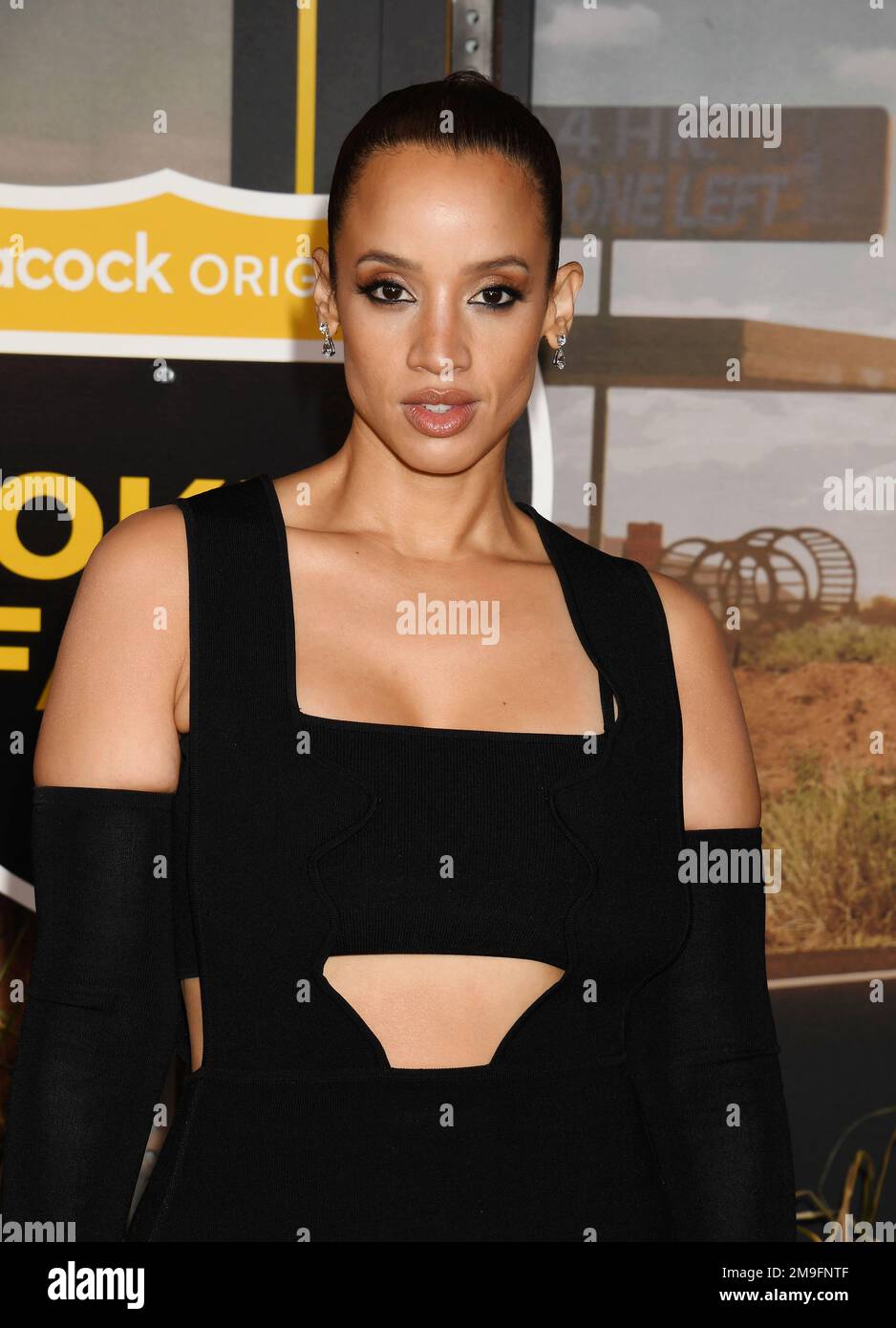 LOS ANGELES, CALIFORNIA - JANUARY 17: Dascha Polanco attends the Los ...