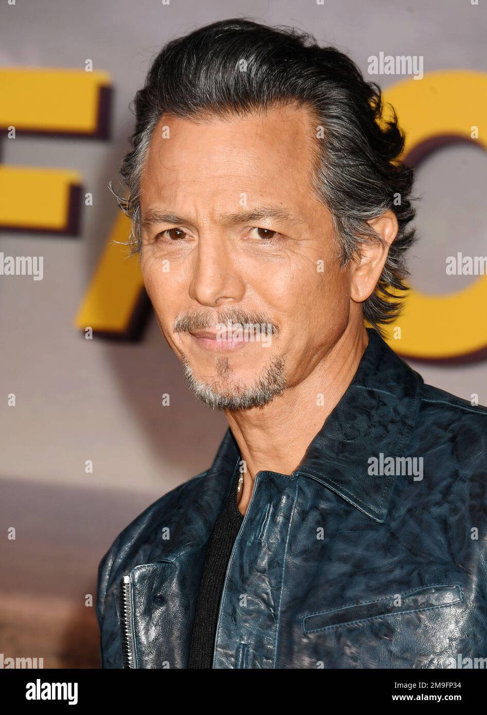 LOS ANGELES, CALIFORNIA - JANUARY 17: Benjamin Bratt attends the Los ...