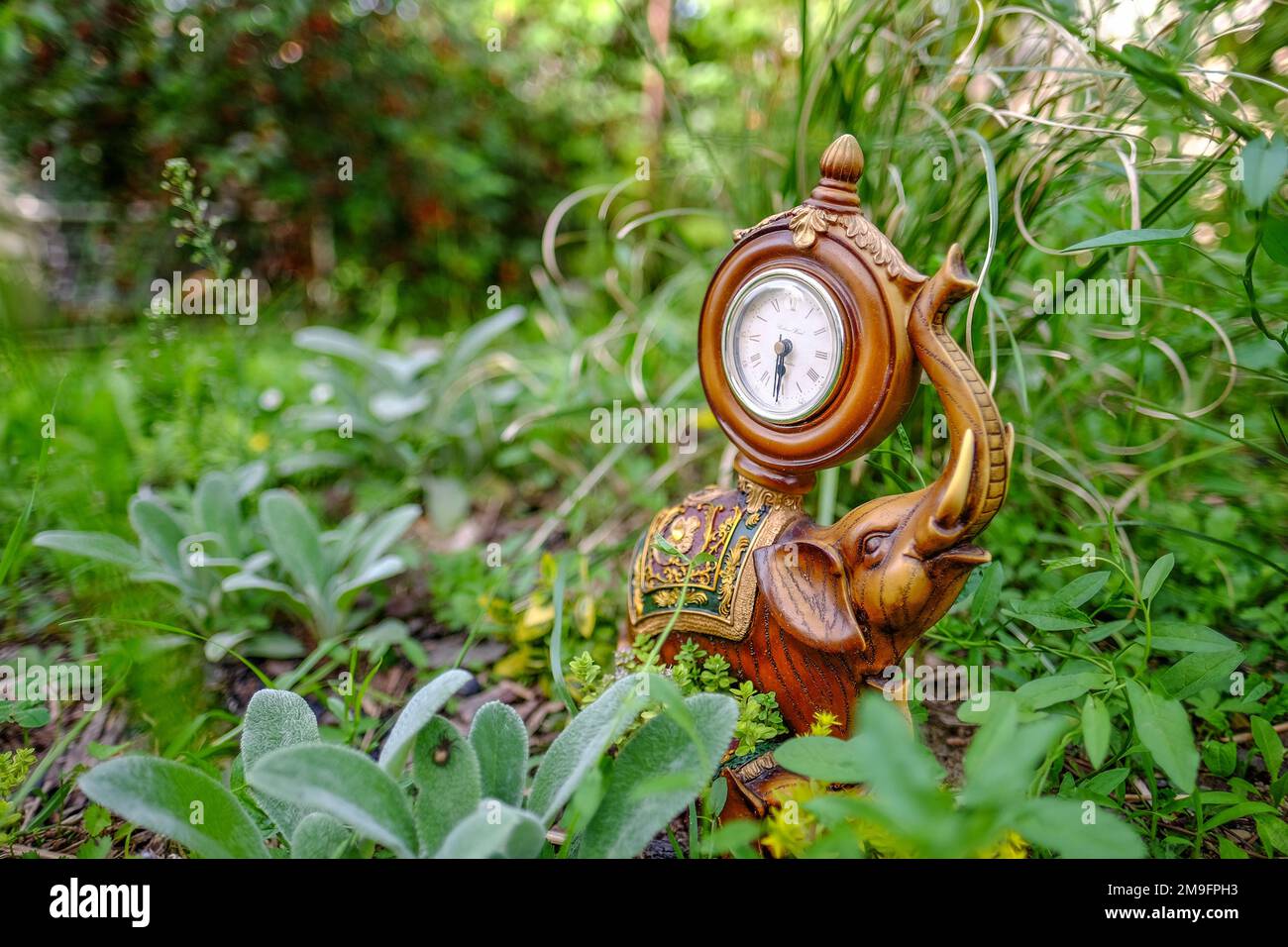 A cute wooden elephant figurine clock on the ground in green garden ...
