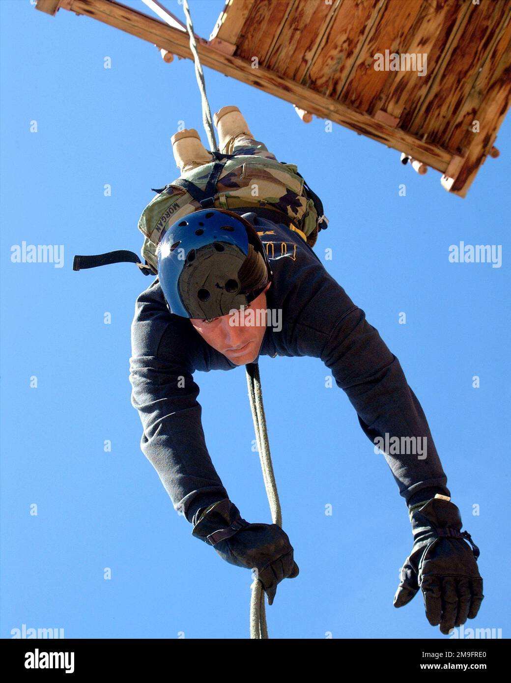 Pao 29 palms hi-res stock photography and images - Alamy