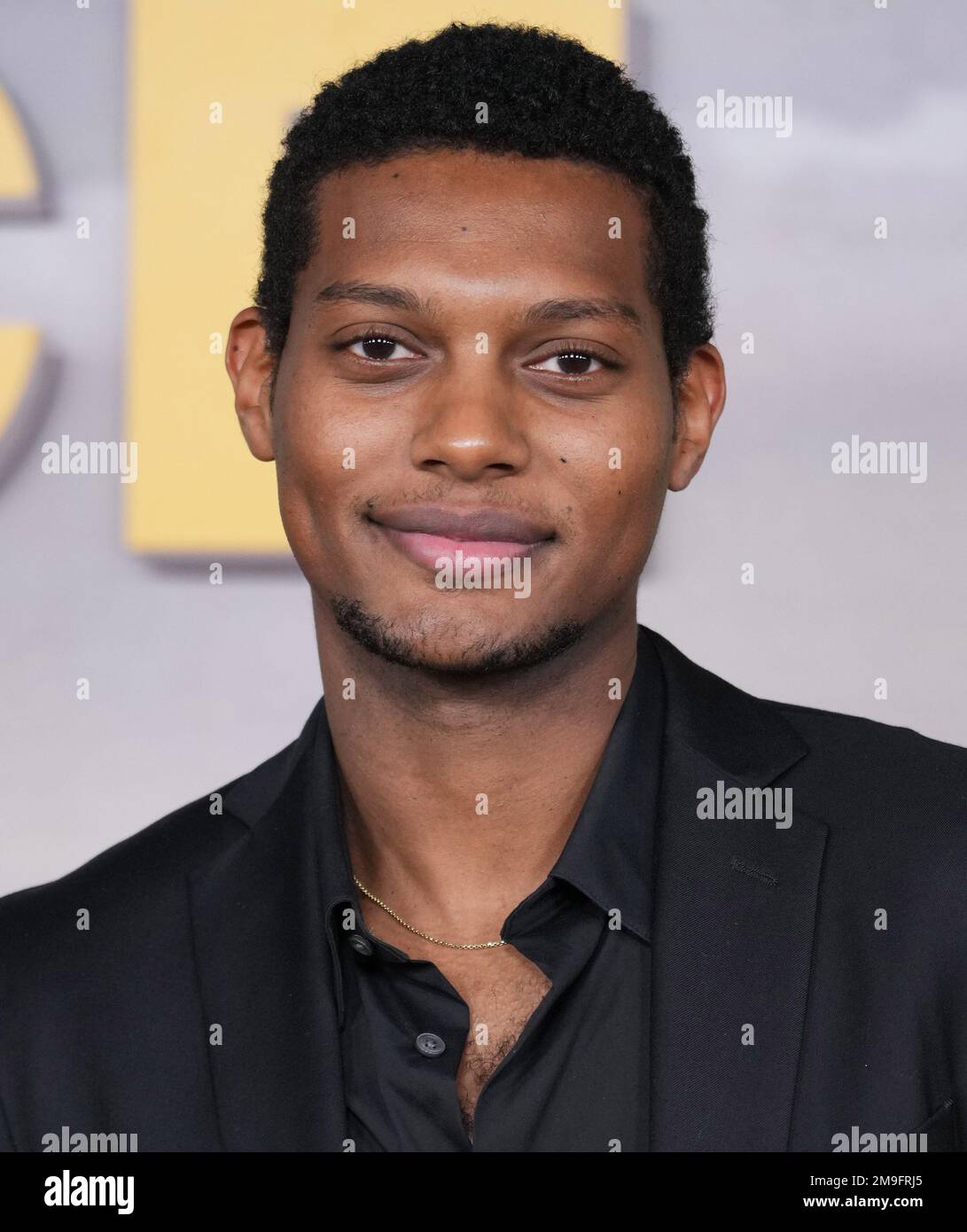 Los Angeles, USA. 17th Jan, 2023. Shane Paul McGhie arrives at the ...