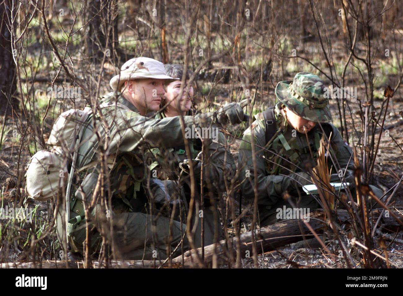 Surviving pilots from a plane crash navigate through Apalachacola ...