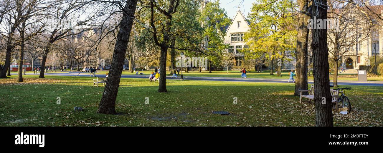 Public park with lawn and trees, University of Chicago campus, Chicago ...