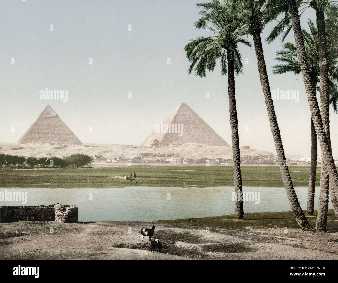 Vintage 19th century photo - pyramids, Giza, Cairo, Egypt Stock Photo ...