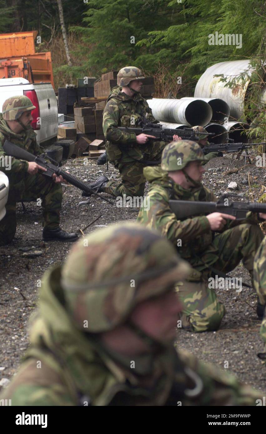 Alaska National Guardsmen from the 3rd Batallion, 297th Scouts, Alpha ...