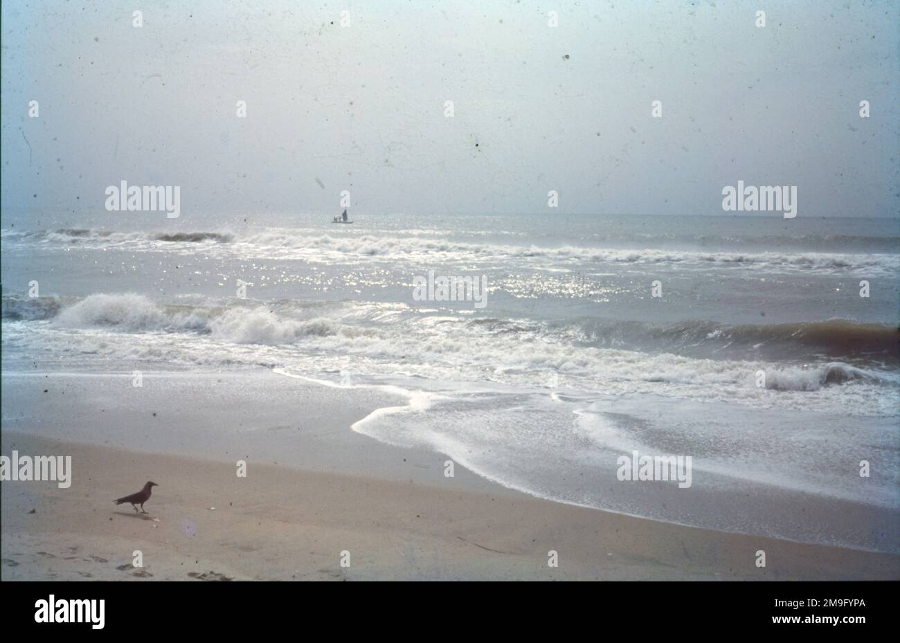 Waves occur when the force of the wind blows over surface water ...