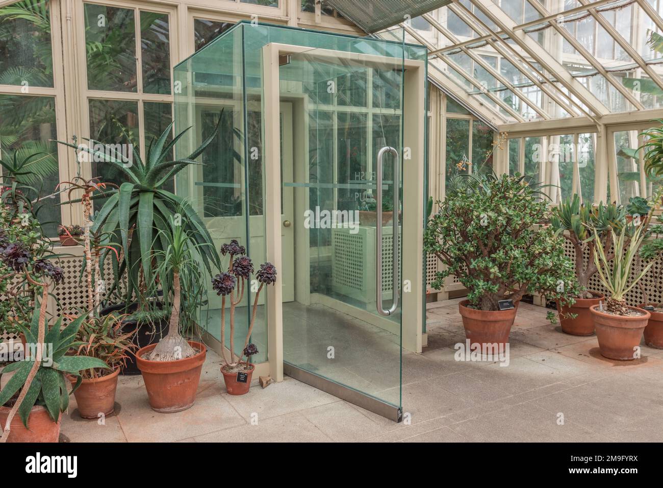 The plants in the National Botanic Gardens in Dublin, Ireland Stock ...