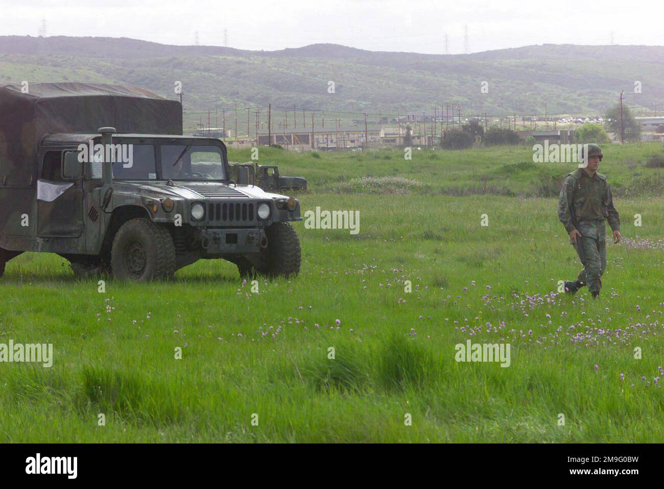 A 3rd Battalion, 5th Marine Regiment, Marine ground guides a US Marine ...