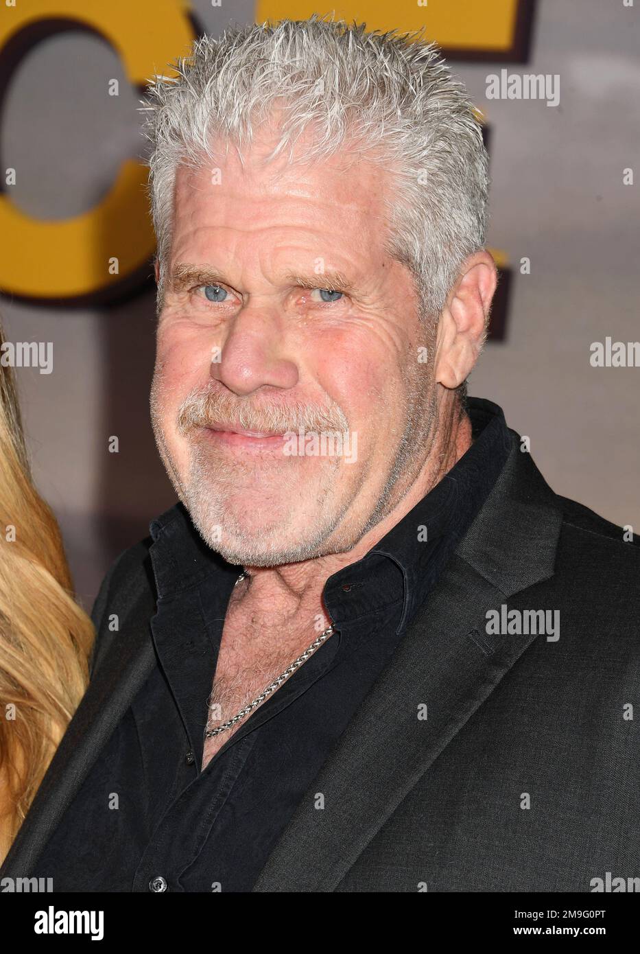 Los Angeles, California, USA. 17th Jan, 2023. Ron Perlman attends the ...