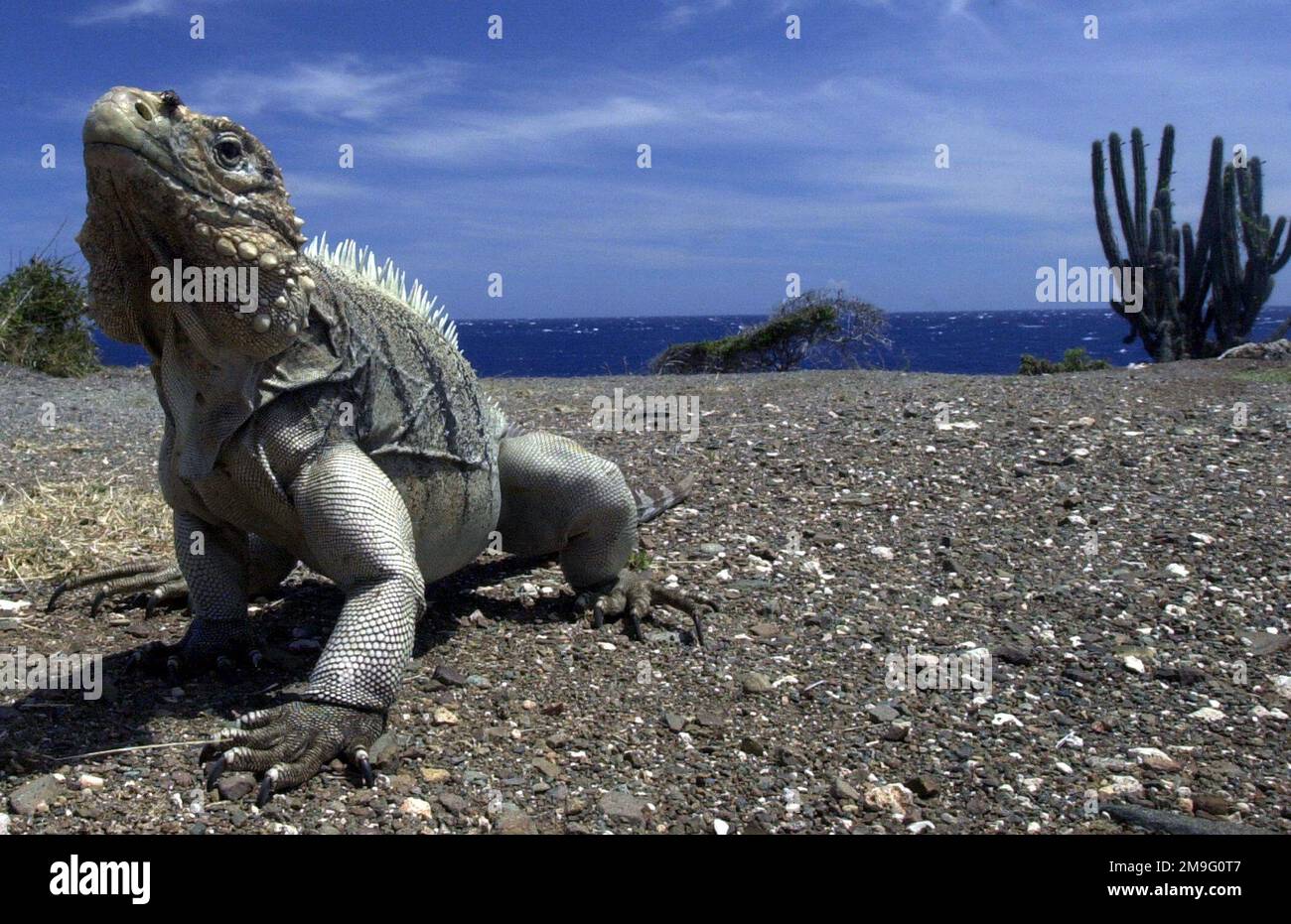 Guantanamo bay cuba personnel hi-res stock photography and images - Alamy