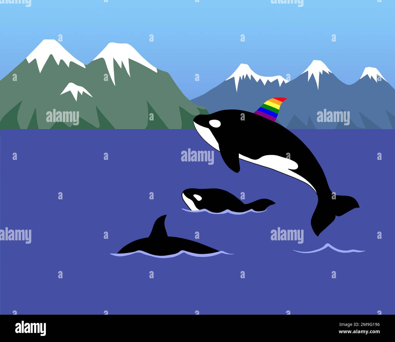 Pod of orcas or killer whales with a gay pride rainbow fin jumping in ...