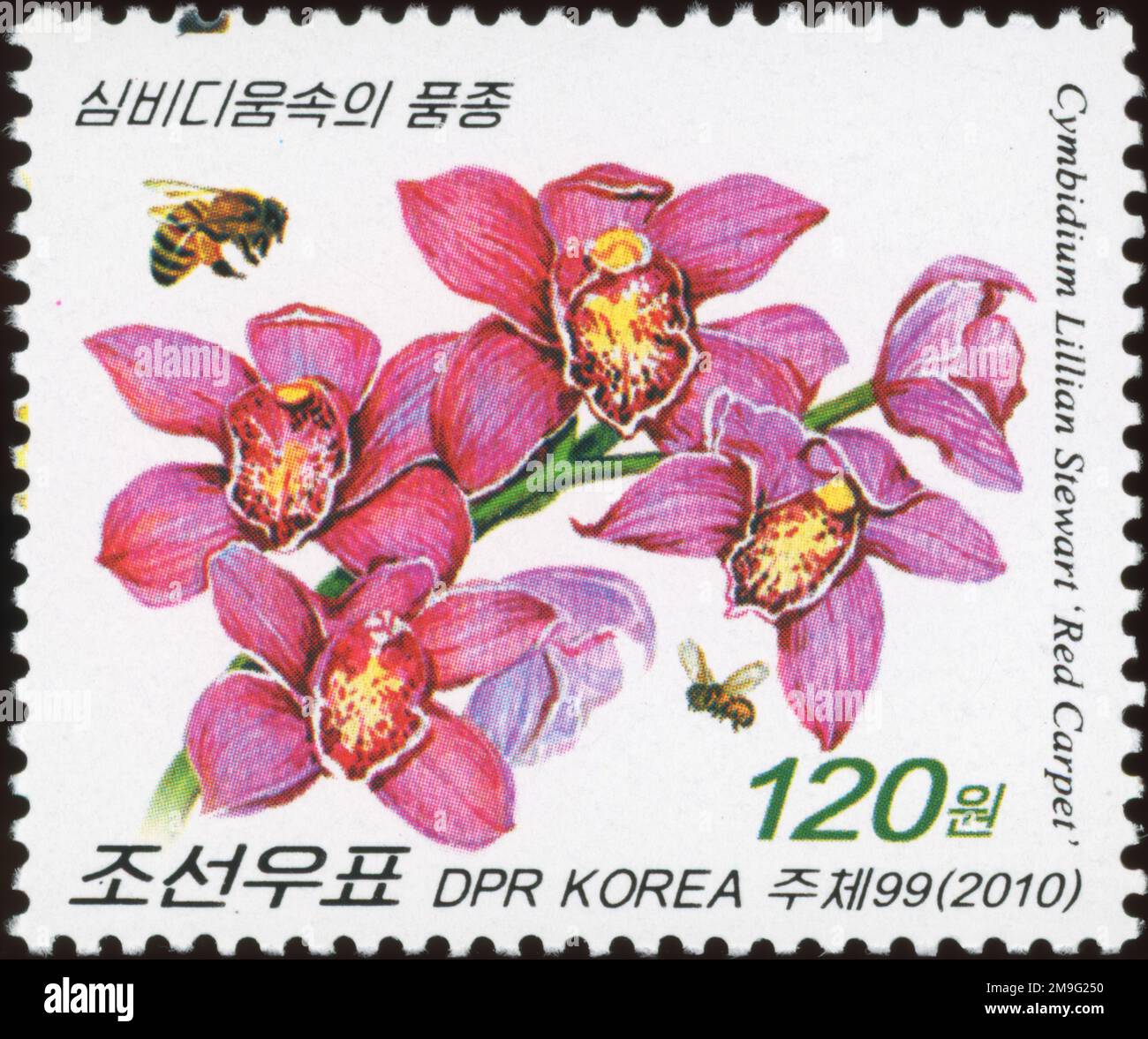 Lillian stewart hi-res stock photography and images - Alamy