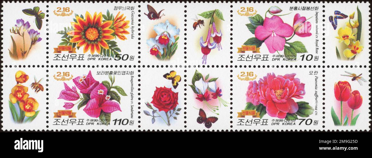 Kim jong il birthday hi-res stock photography and images - Alamy