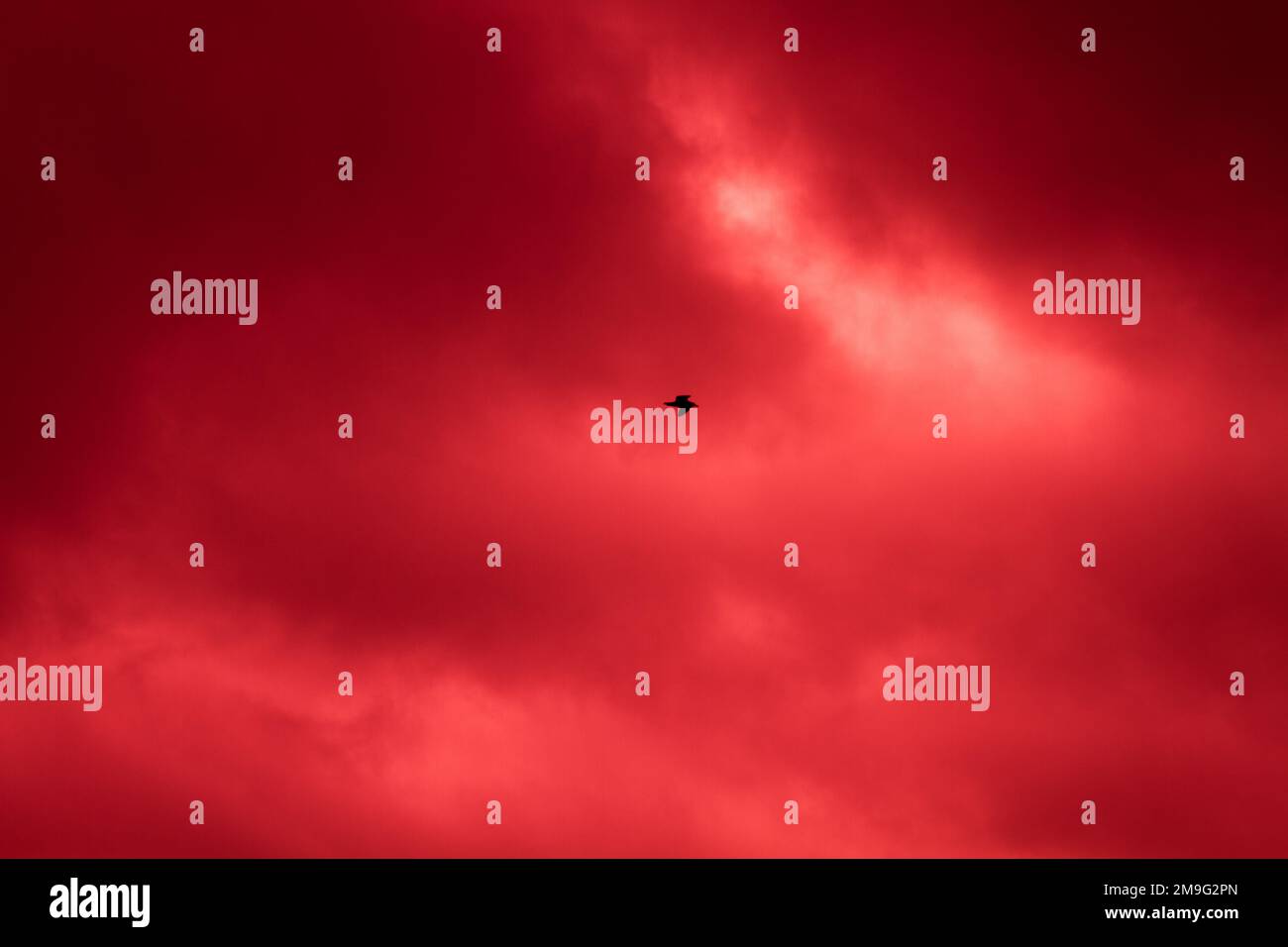 Fiery red sky. Blood clouds. Horror. Background, banner. Horror ...