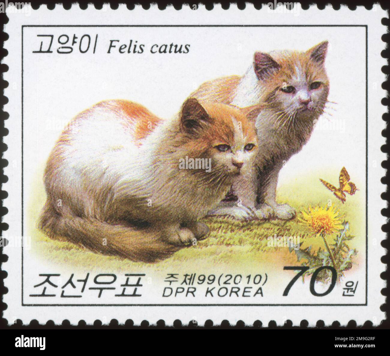 Set cats hi-res stock photography and images - Alamy