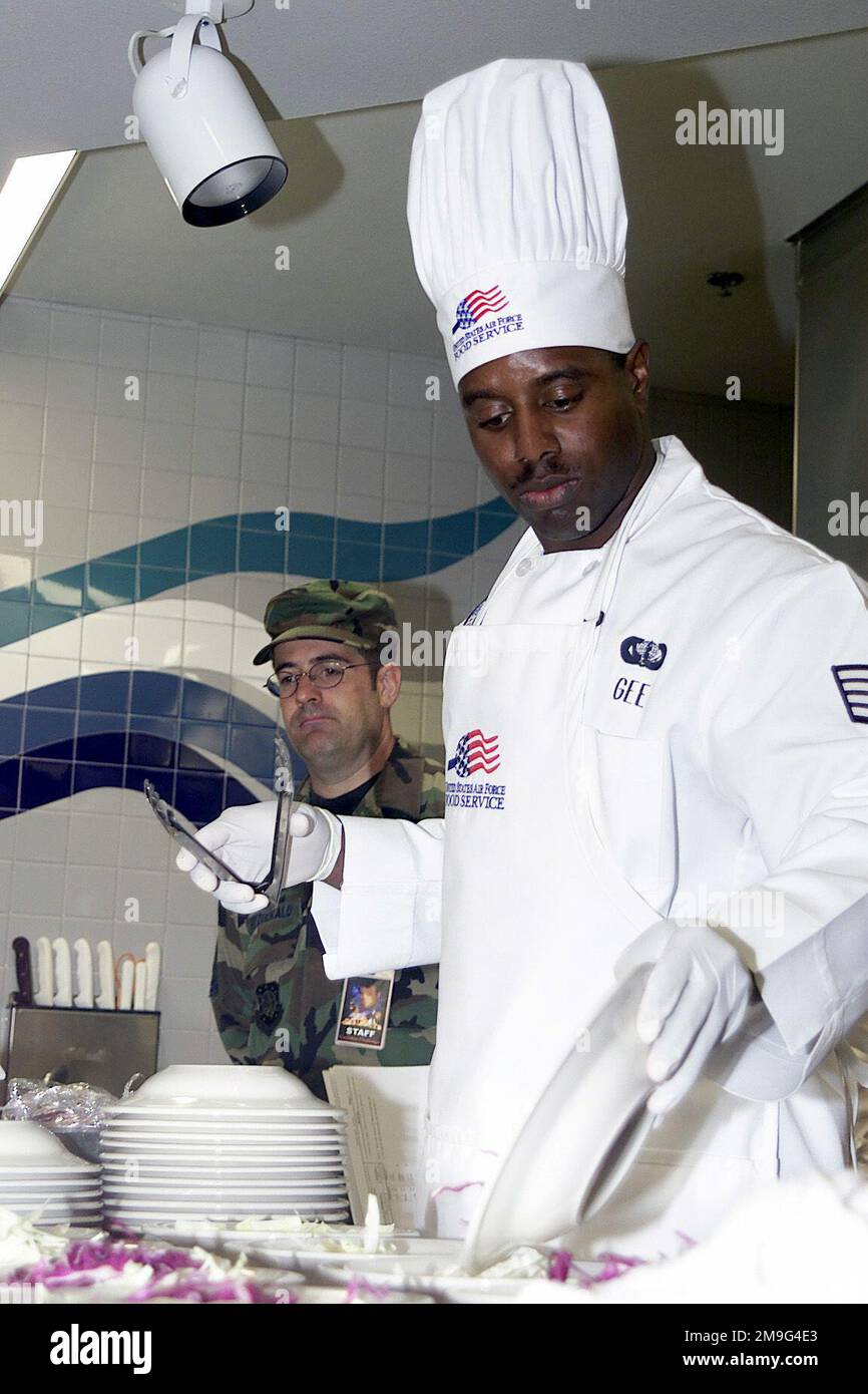 010508-F-0460H-001. [Complete] Scene Caption: STAFF Sergeant Porter Gee ...