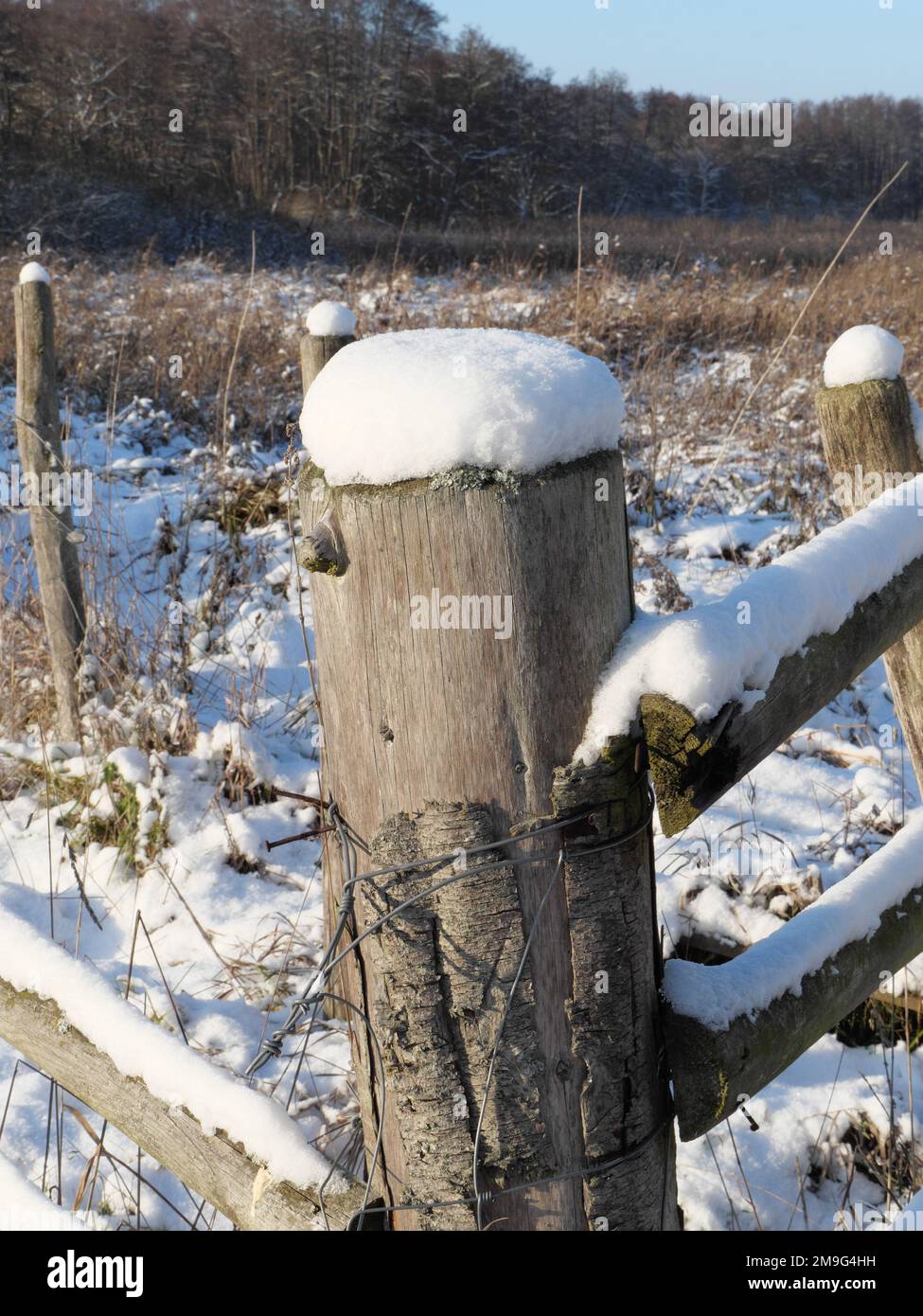 Round wooden posts of a wooden fence covered with snow hoods at a ...