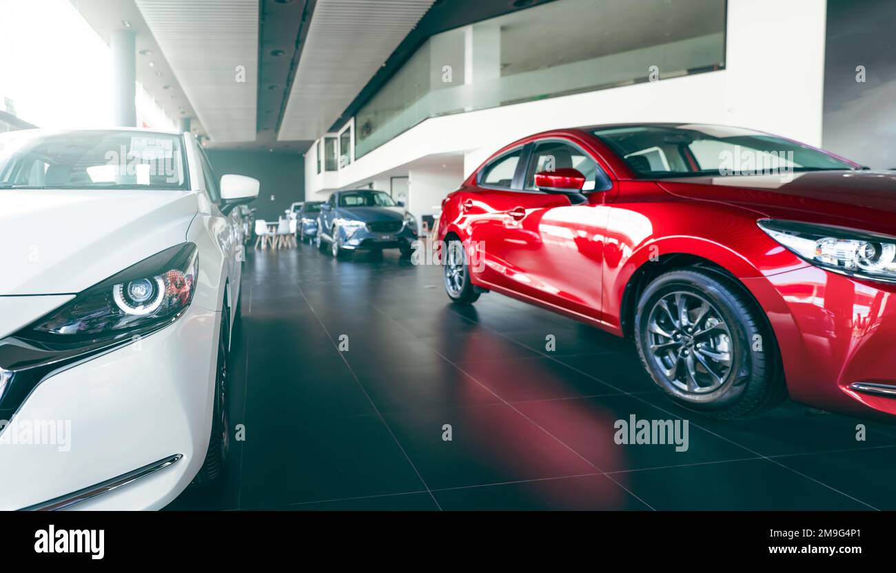 New cars parked in luxury showroom. Car dealership office. Car parked ...