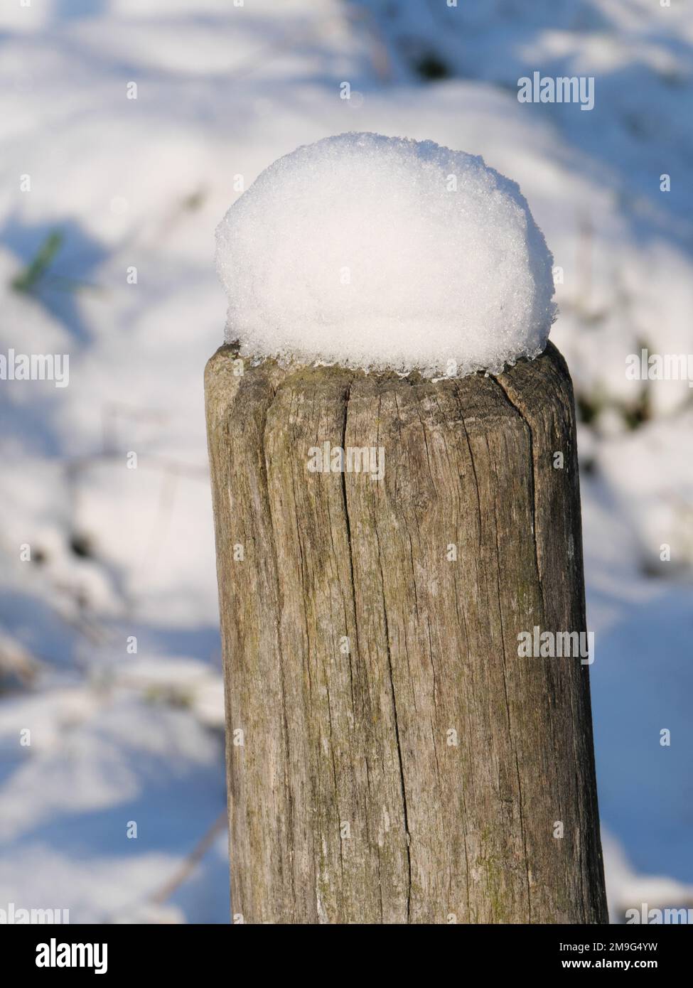 Round wooden posts of a wooden fence covered with snow hoods at a ...