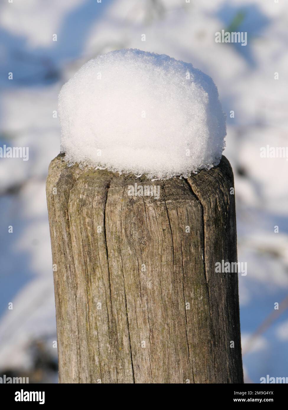 Round wooden posts of a wooden fence covered with snow hoods at a ...