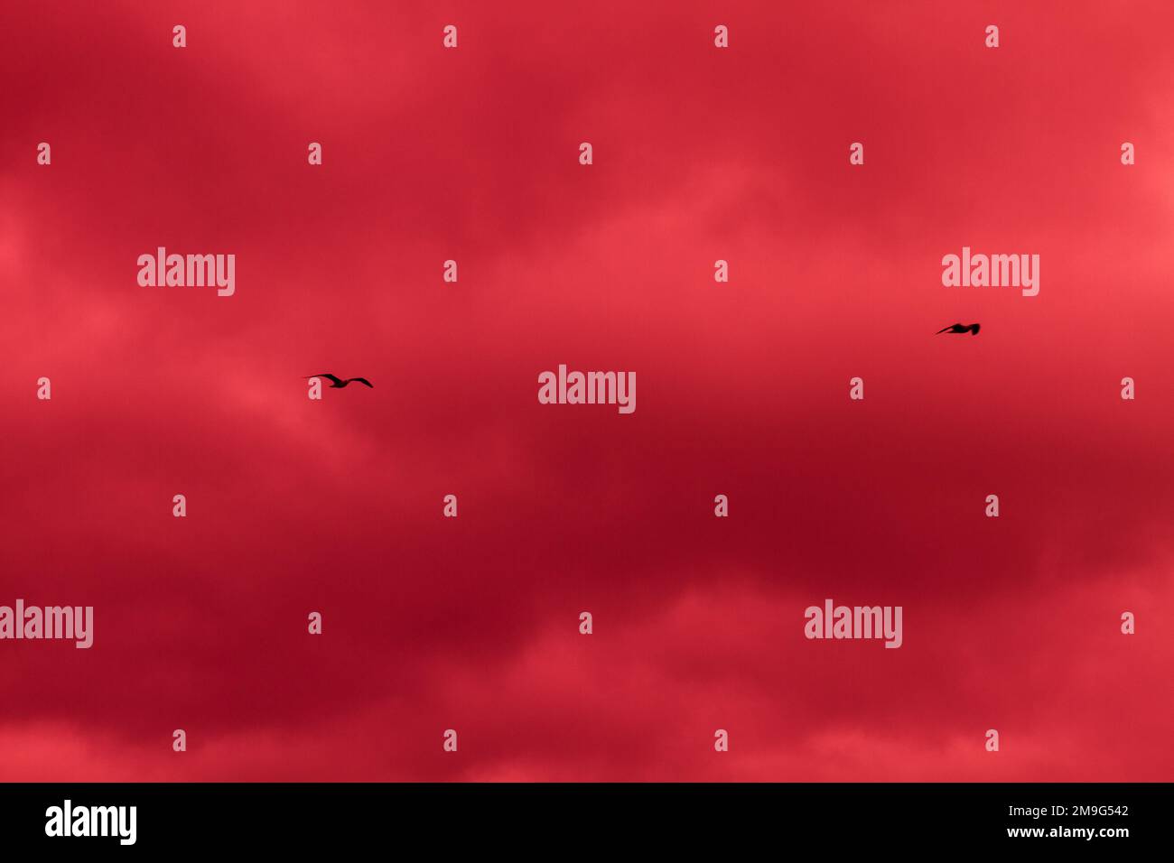 Fiery red sky. Blood clouds. Horror. Background, banner. Horror ...