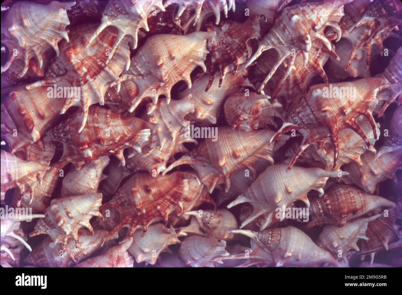 Composed of various materials hi-res stock photography and images - Alamy