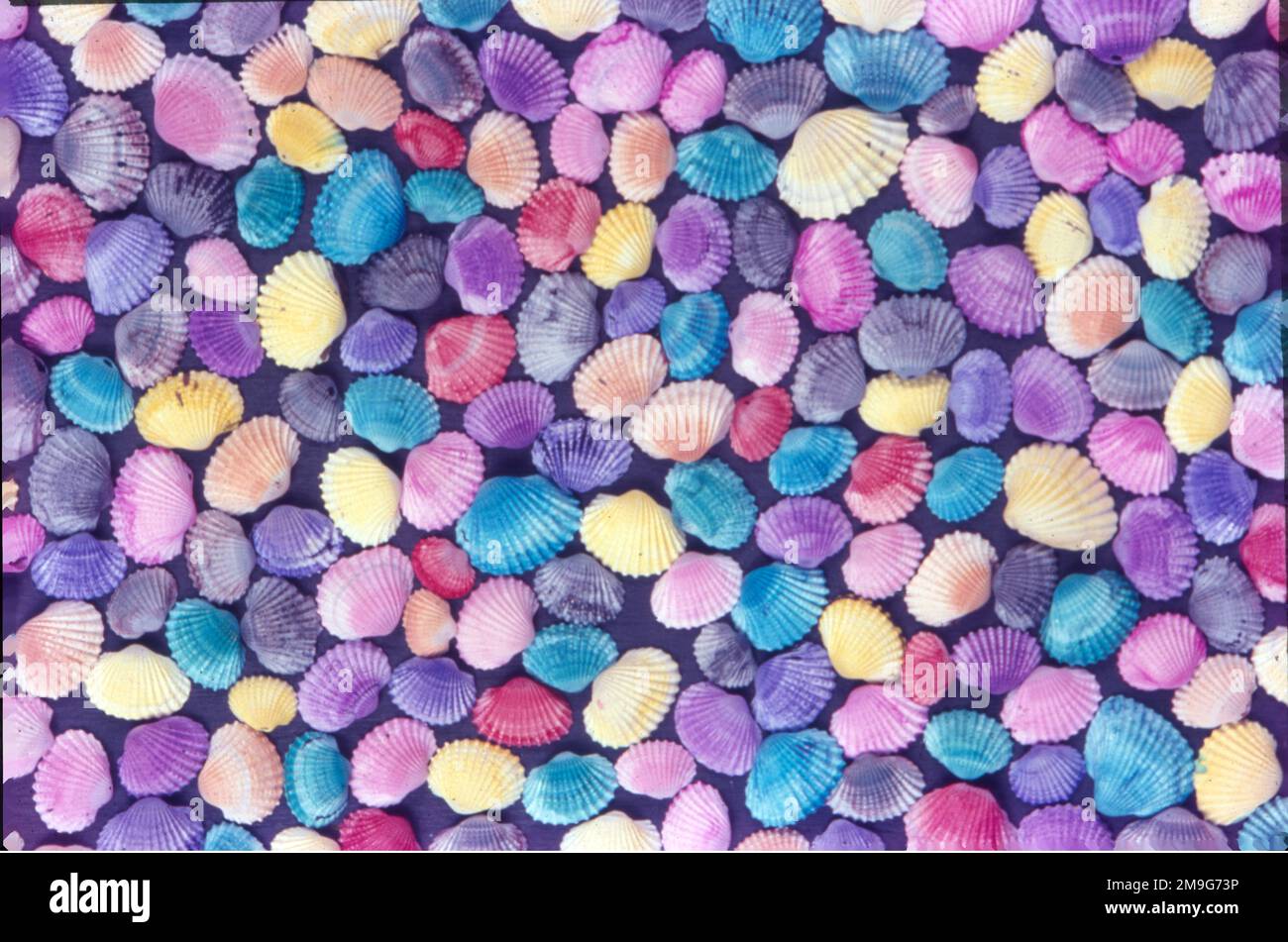 A seashell or sea shell, also known simply as a shell, is a hard ...