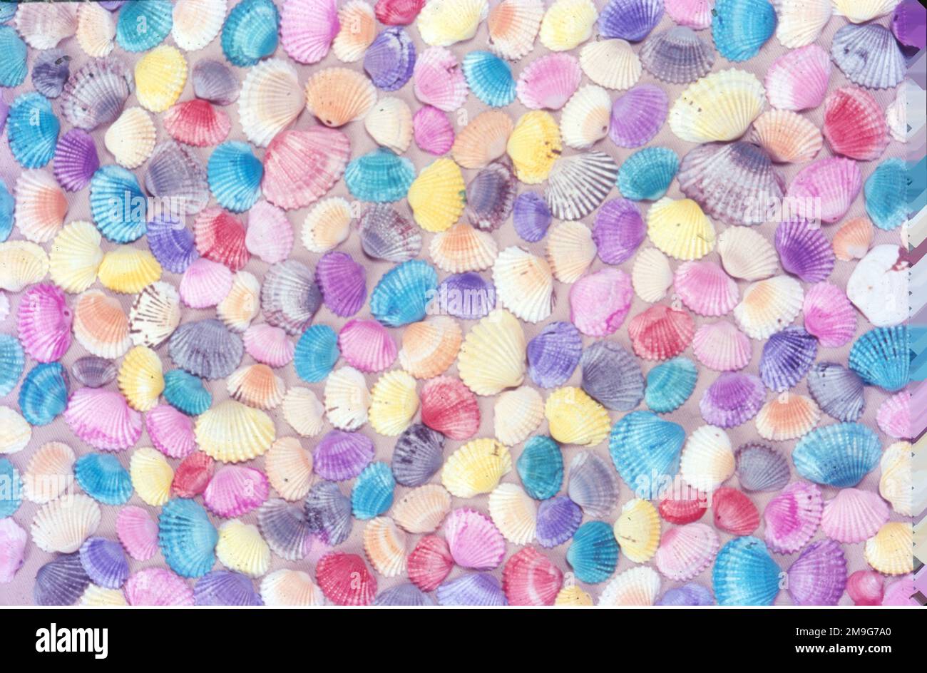 Mantle tissue hi-res stock photography and images - Alamy