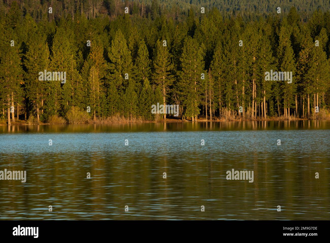 View of lake and trees Stock Photo - Alamy