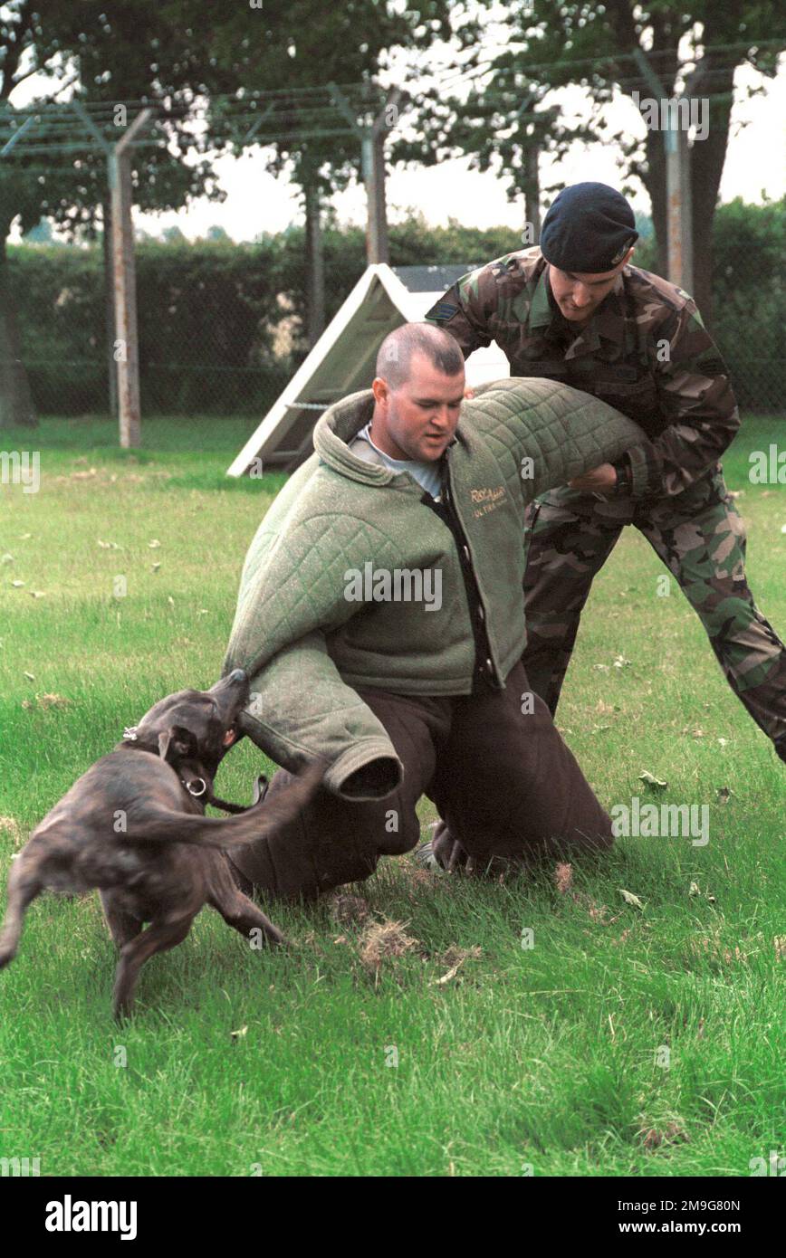 US Air Force SENIOR AIRMAN Jason Gray, 48th Security Forces Squadron ...