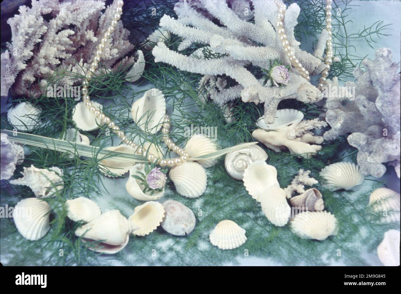 A seashell or sea shell, also known simply as a shell, is a hard ...