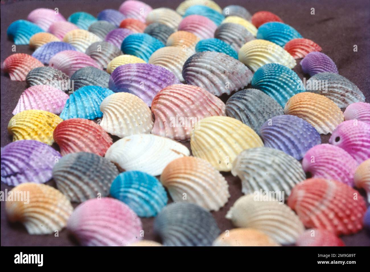 A seashell or sea shell, also known simply as a shell, is a hard ...