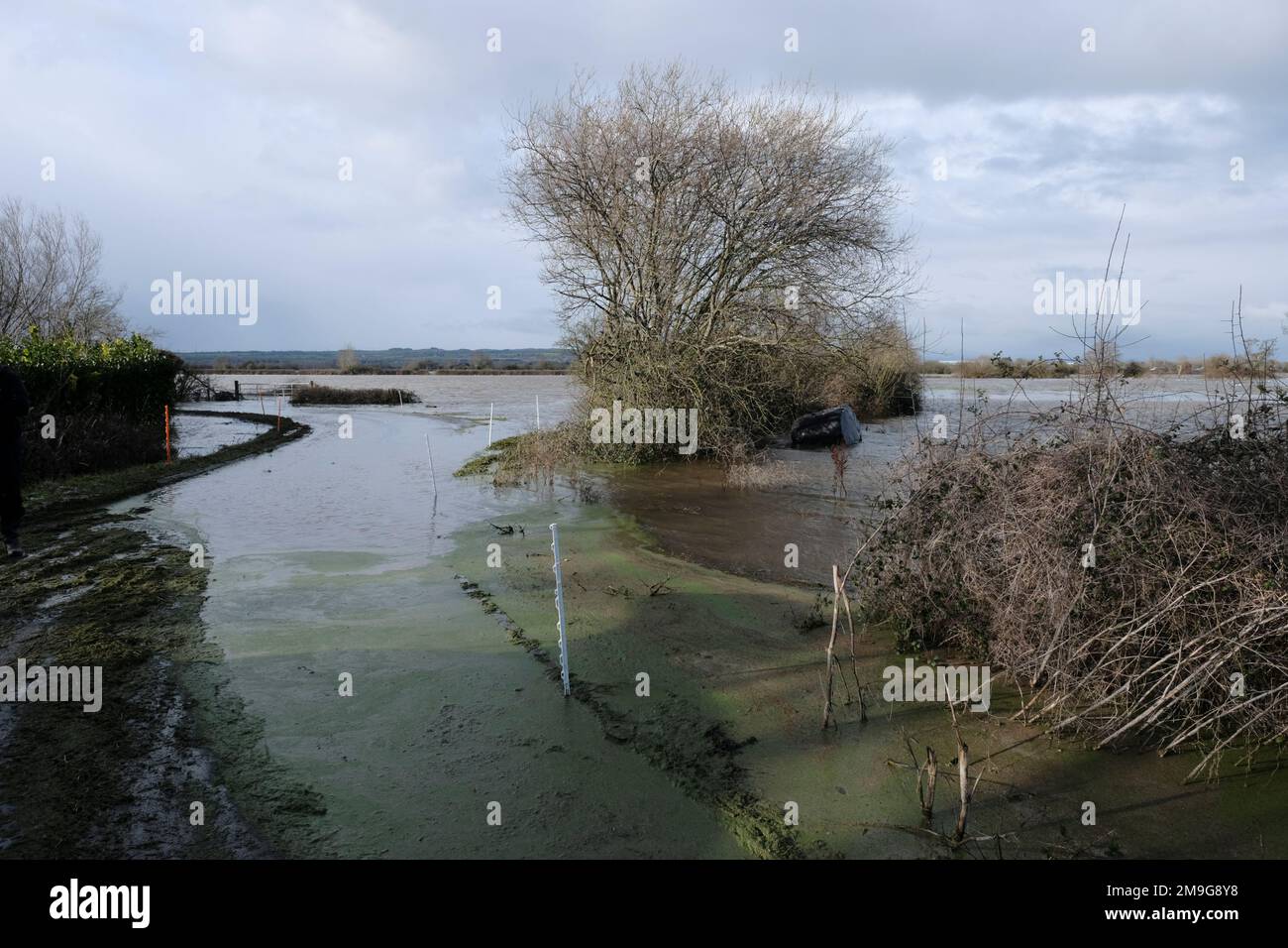 Northmoor, UK. 18th Jan, 2023. Flood levels have prompted the ...
