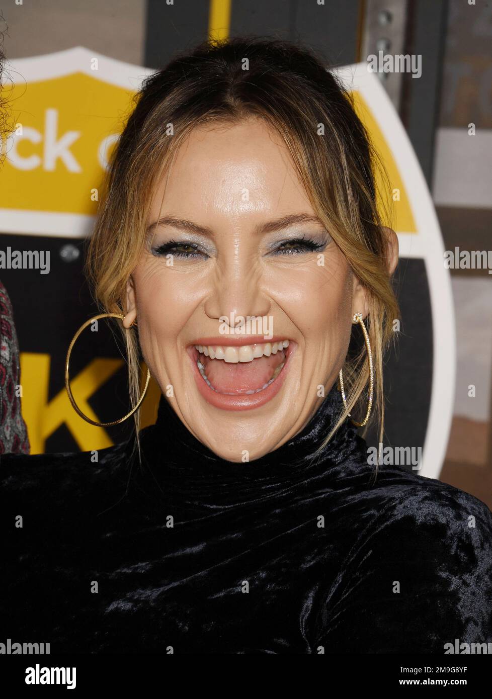 LOS ANGELES, CALIFORNIA - JANUARY 17: Kate Hudson attends the Los ...