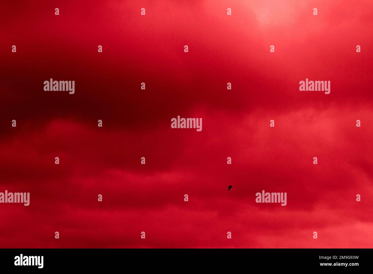 Fiery red sky. Blood clouds. Horror. Background, banner. Horror ...