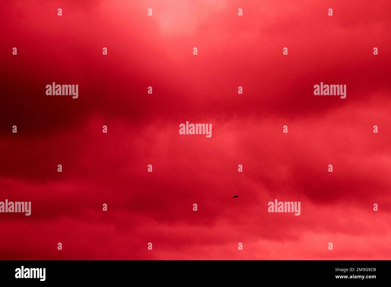 Fiery red sky. Blood clouds. Horror. Background, banner. Horror ...