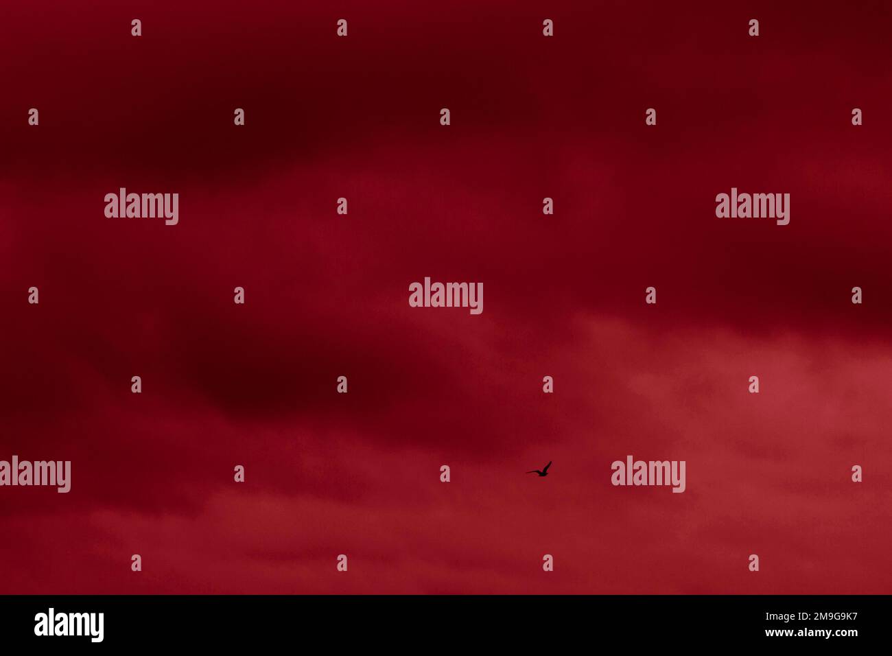 Fiery red sky. Blood clouds. Horror. Background, banner. Horror ...